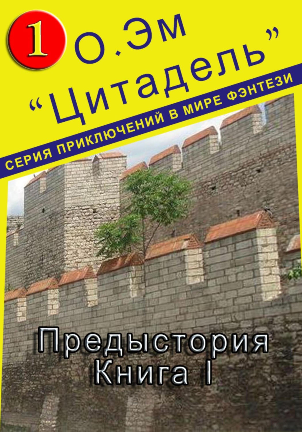 Цитадель. Книга 1, О. Эм – скачать книгу fb2, epub, pdf на Литрес
